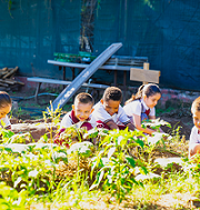 🥇 Colegio SEBEC | Planes & Colegiaturas